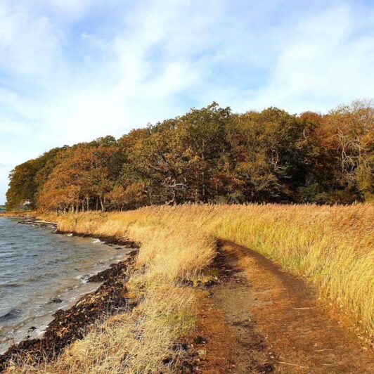 Vandreture Bornholm: 5 fantastiske vandreture i 2025 - Backpackerlife.dk