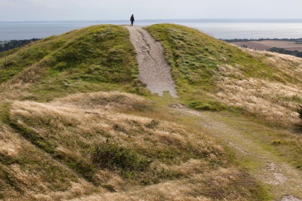 Mols Bjerge (2026): Guide til skønne stier og vilde vandreture i Mols ...