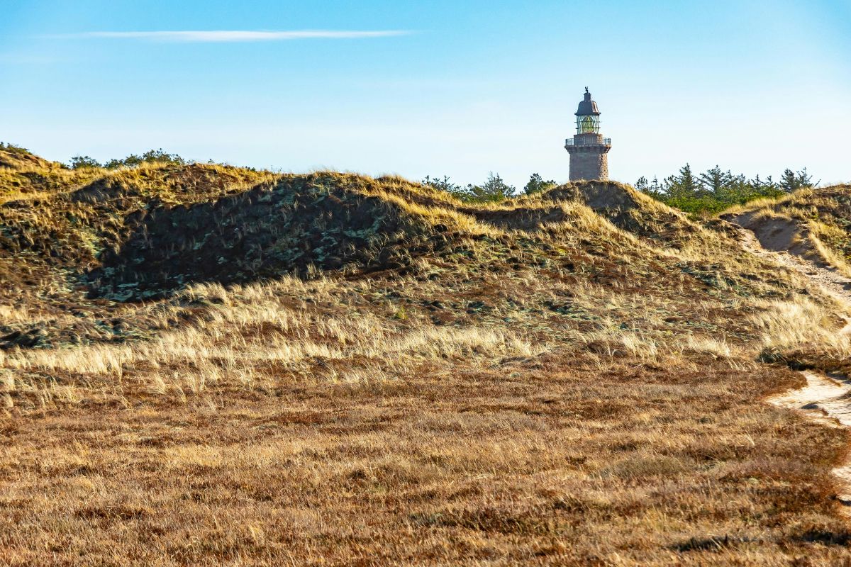 Nationalpark Thy (2026): Kæmpe guide og fede aktiviteter i Thy ...